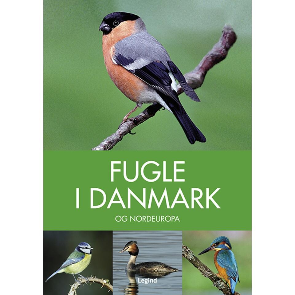 En rigtig fin fuglebog - med fugle i Danmark